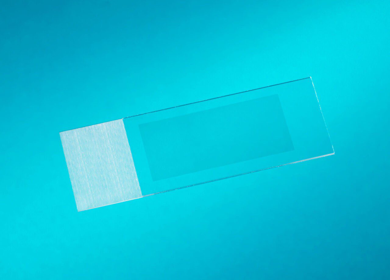 MembraneSlide • Mikrodissektion • MicroDissect GmbH • Herborn